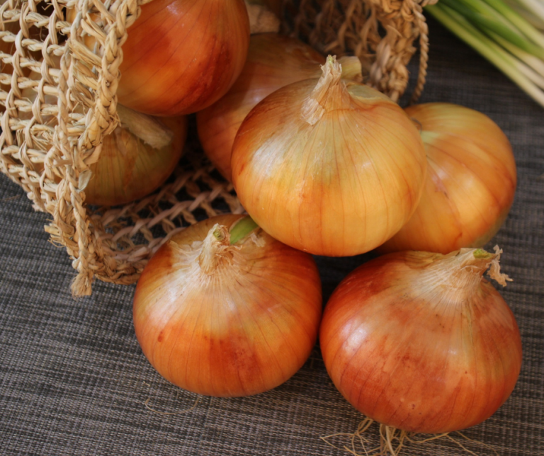 Méthode infaillible pour garder les oignons frais longtemps - Plumefraise